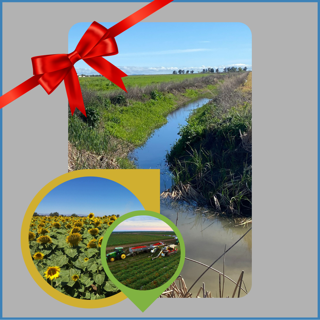 Preserving Farmland for Tomorrow, Today - Yolo Land Trust